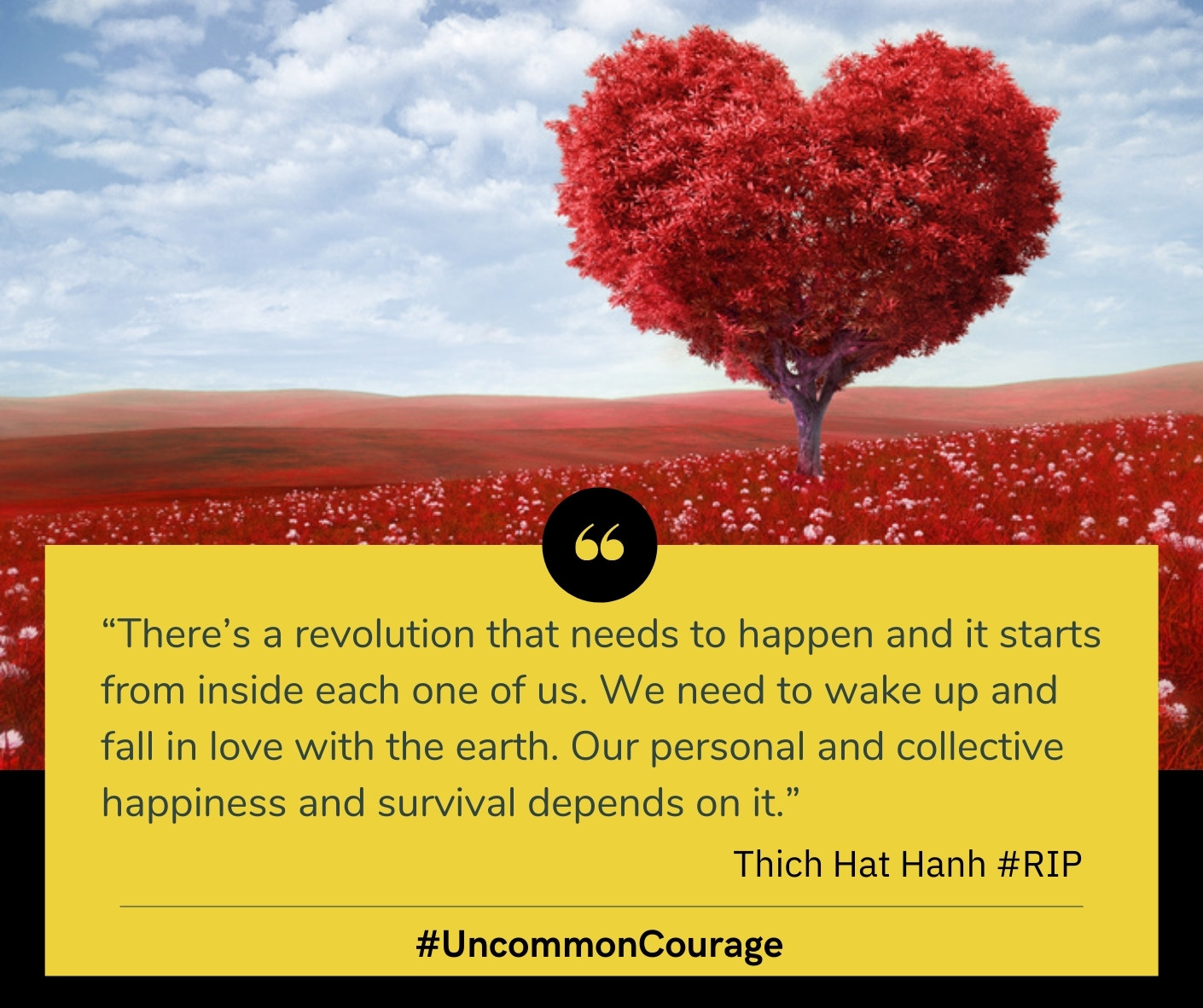 #88 Weekend reads – let’s honor the life and legacy of Thich Hat Hanh ...