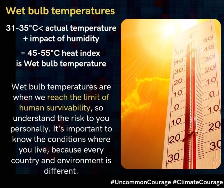 Climate Courage: get ready for wet bulb temperatures aka when it’s ‘too ...