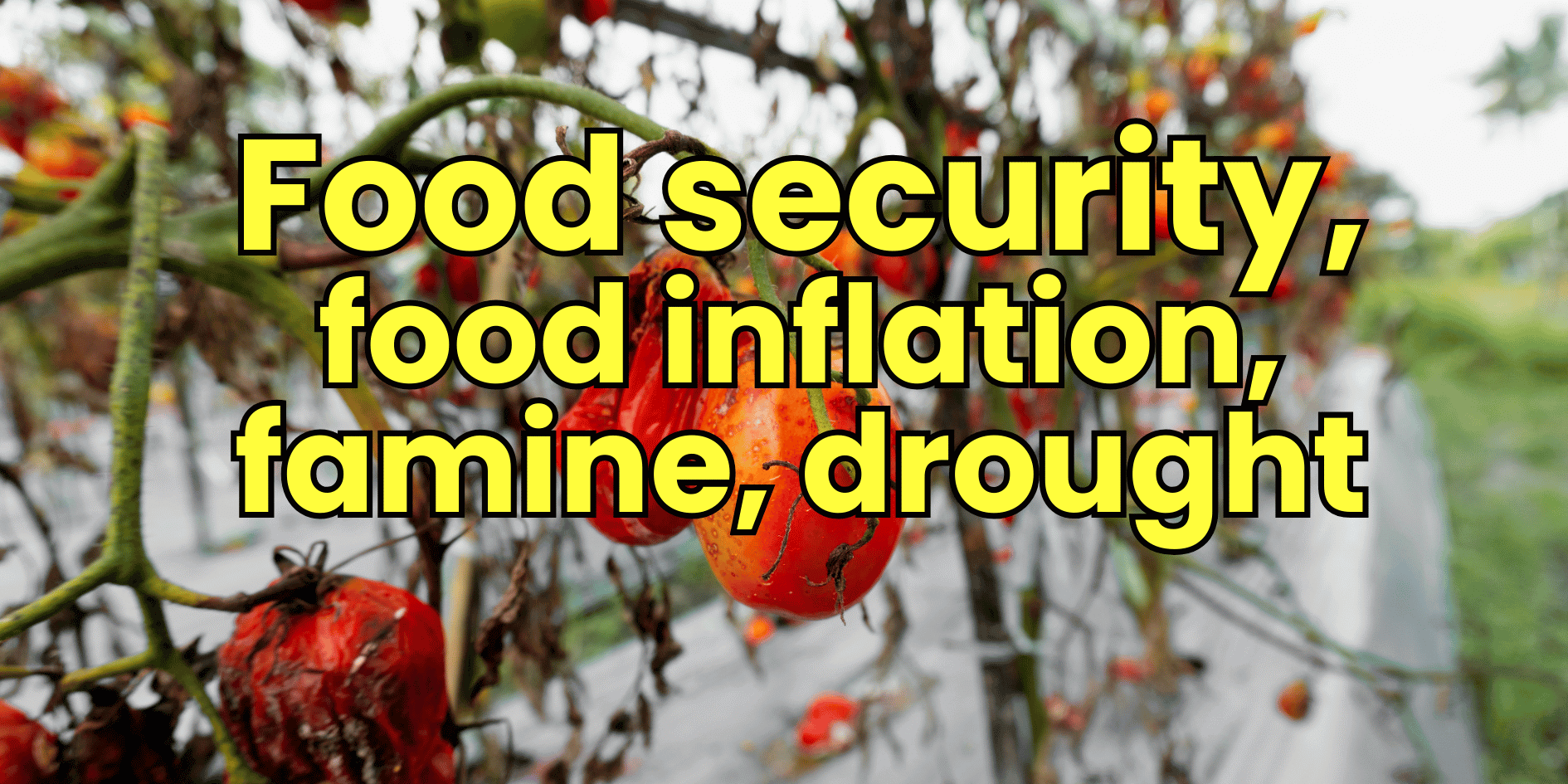 Resources - Food security, food inflation, famine, drought - Andrea T ...