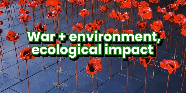 Resources -War + environment and ecological impact - Andrea T Edwards